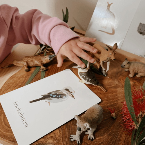 Theme Animal - Australian / Marsupials — My Playroom