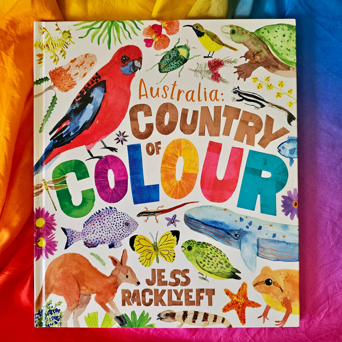 Australia Country Of Colour (Hardcover) by Jess Racklyeft: Kids Pictur ...