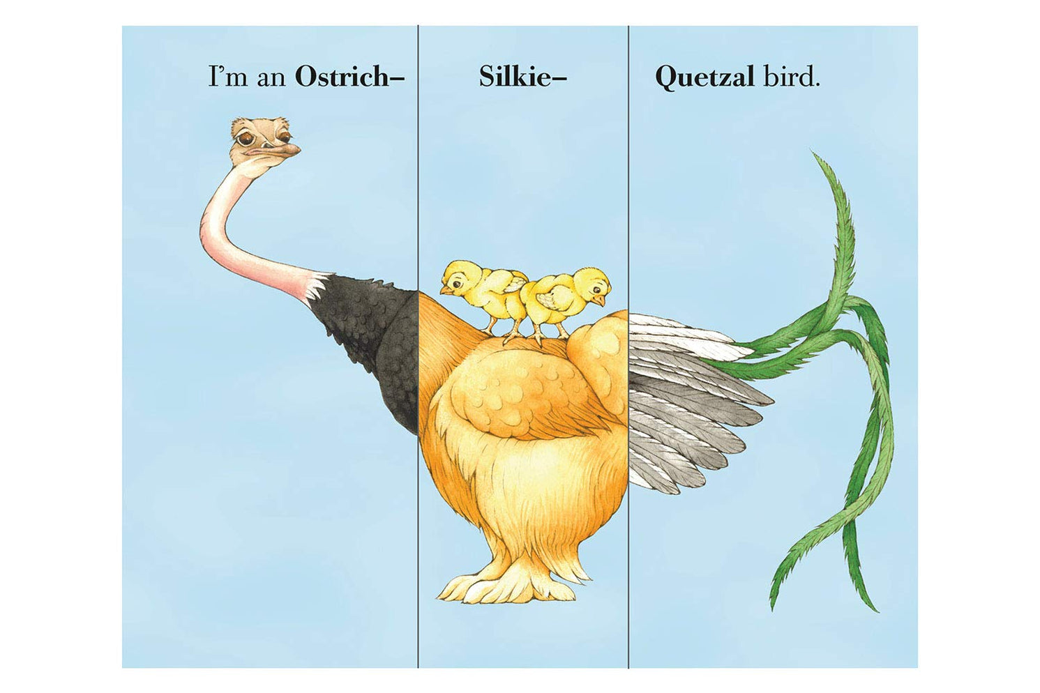 Flip A Feather (Board Book) Interactive Book by Sara Ball: Birds Kids ...