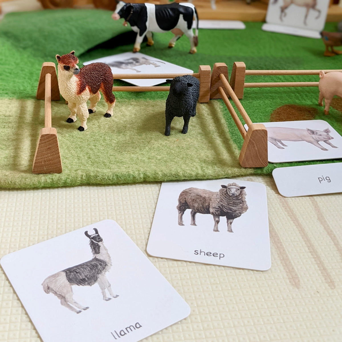 Montessori 3 Part Cards Nomenclature Farm English — My Playroom