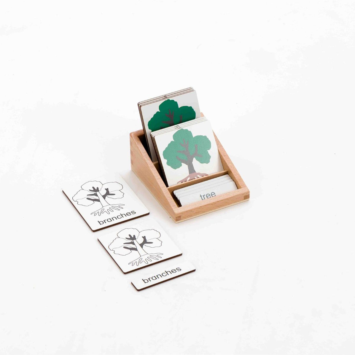 Montessori Classification 3 Part Timber Cards - Plant 5pcs (With Box ...