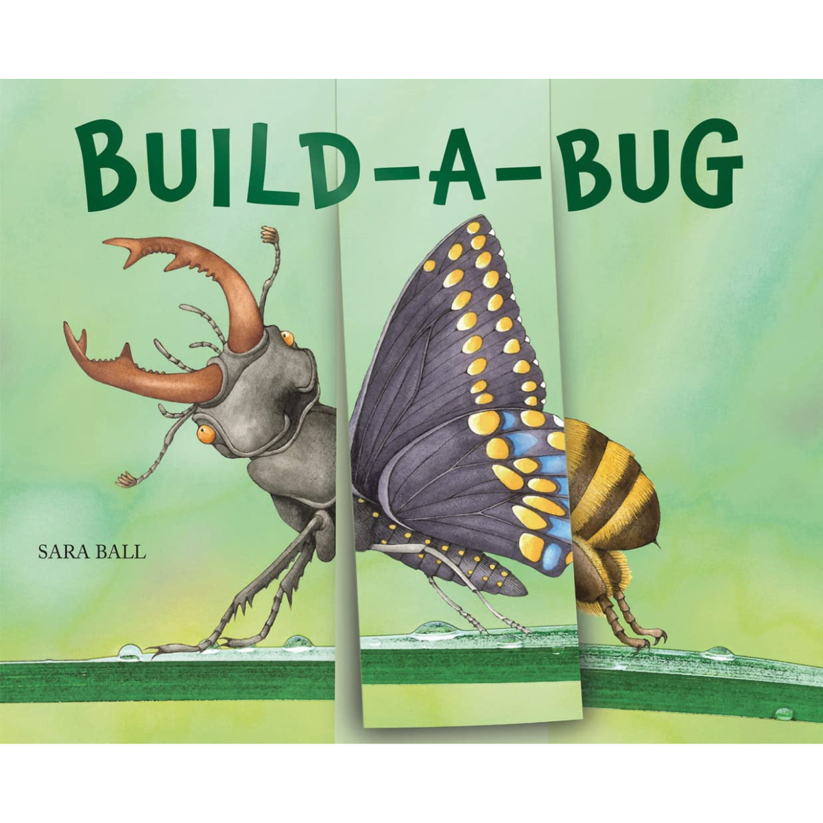 Build A Bug (Board Book) Interactive Kids Book by Sara Ball Insects ...