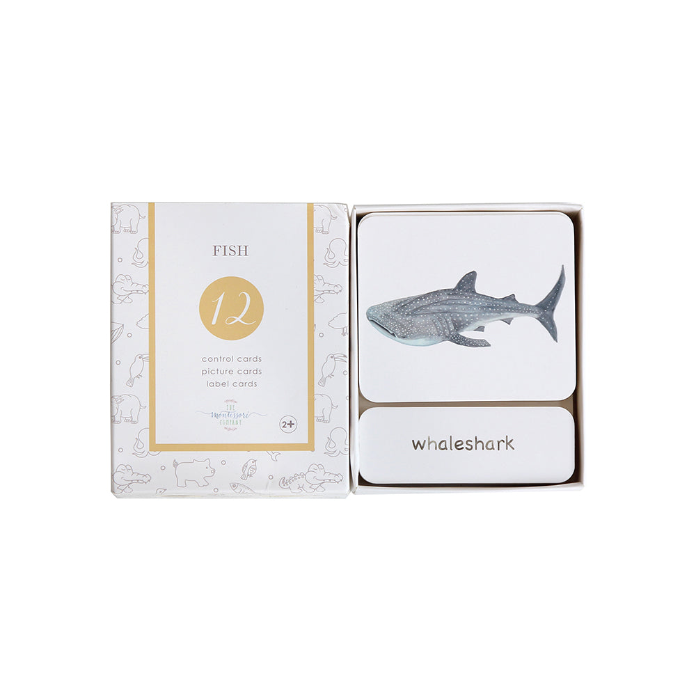 Montessori 3 Part Cards Nomenclature Fish English Early Literacy Devel ...