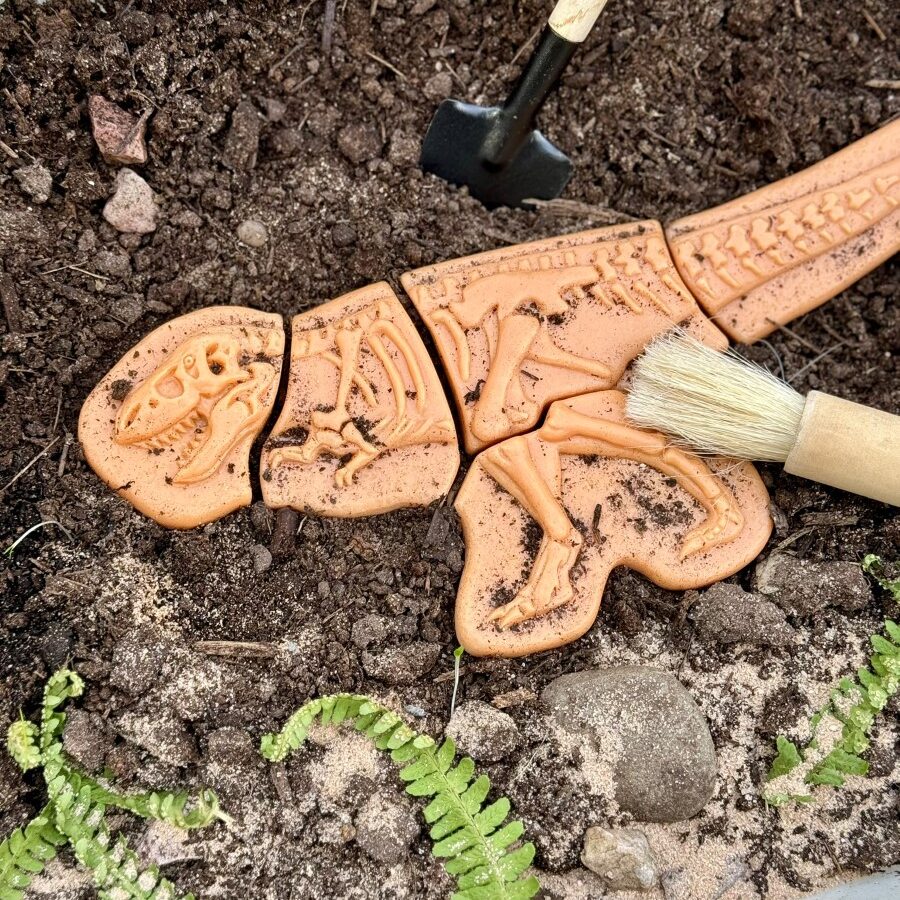 Yellow Door Dig and Discover Ankylosaurus & Tyrannosaurus Rex 9pcs Din ...