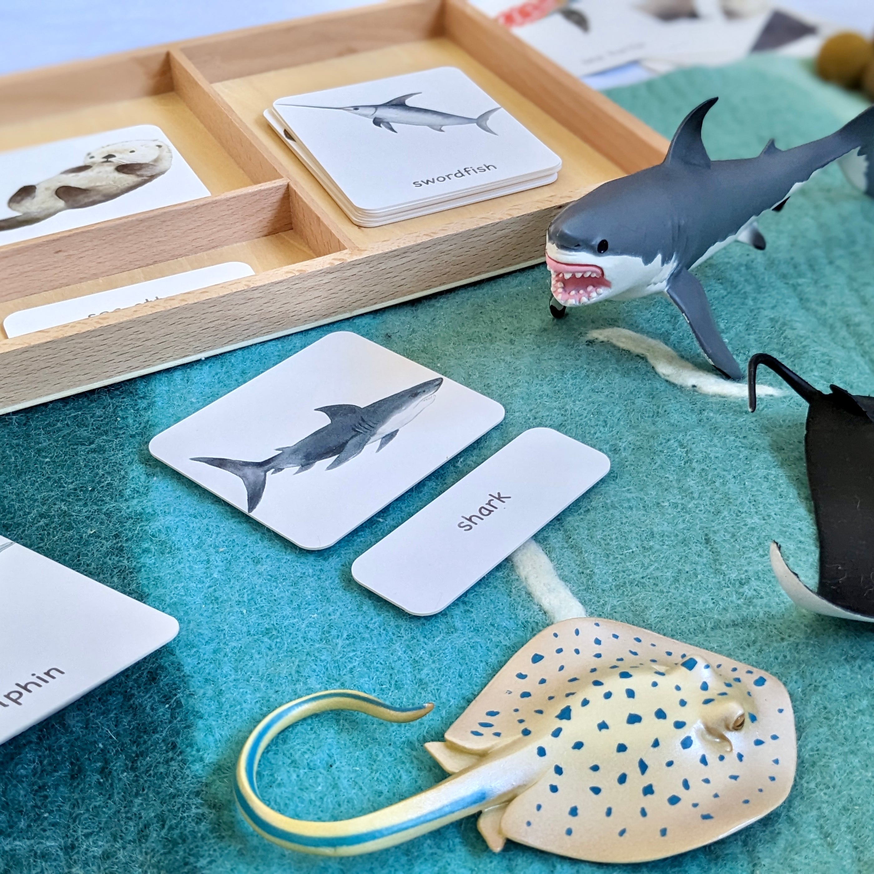 Montessori 3 Part Cards Nomenclature Ocean Sea Animals English 3yrs ...