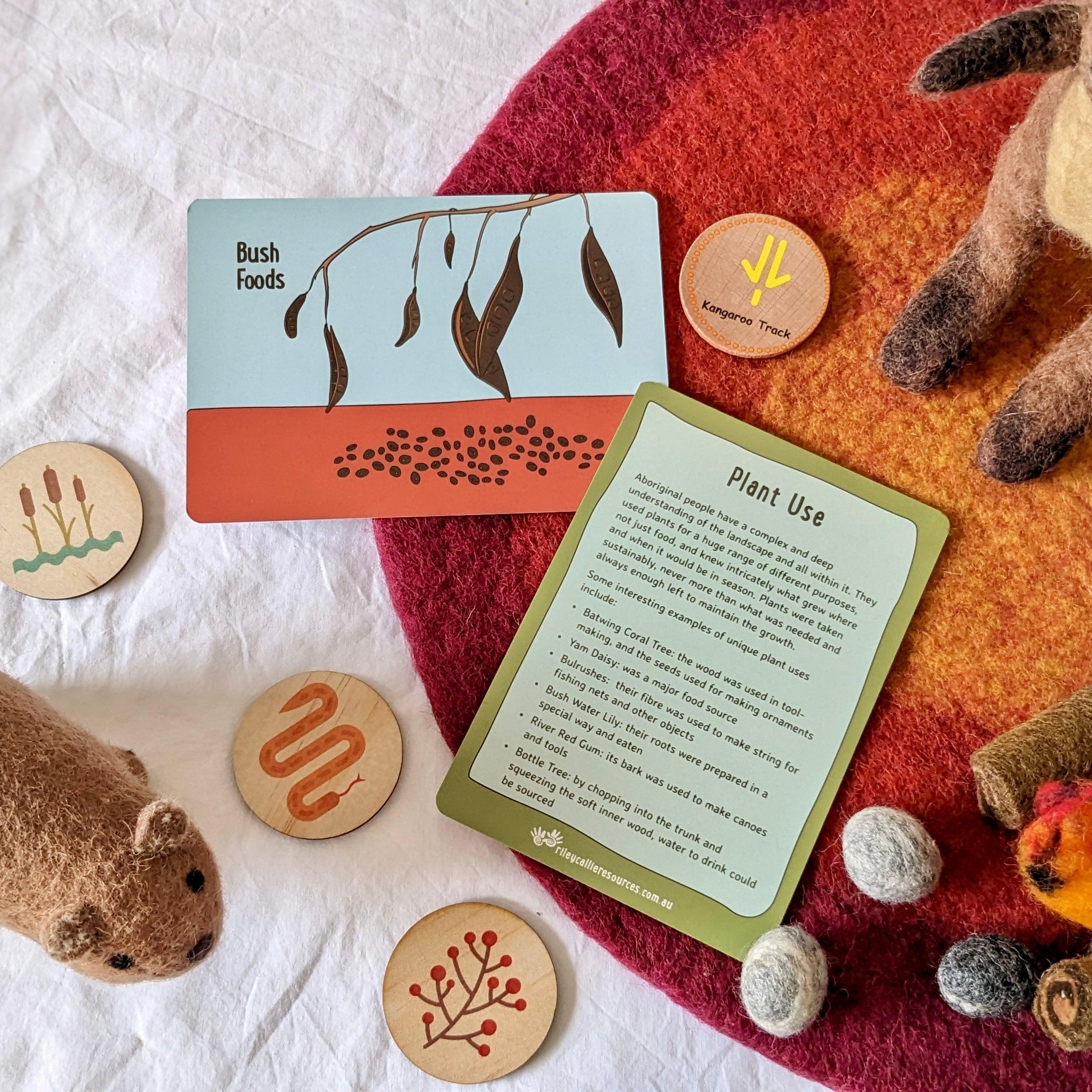 Riley Callie Aboriginal Topic Cards First Nations Resources Aboriginal ...