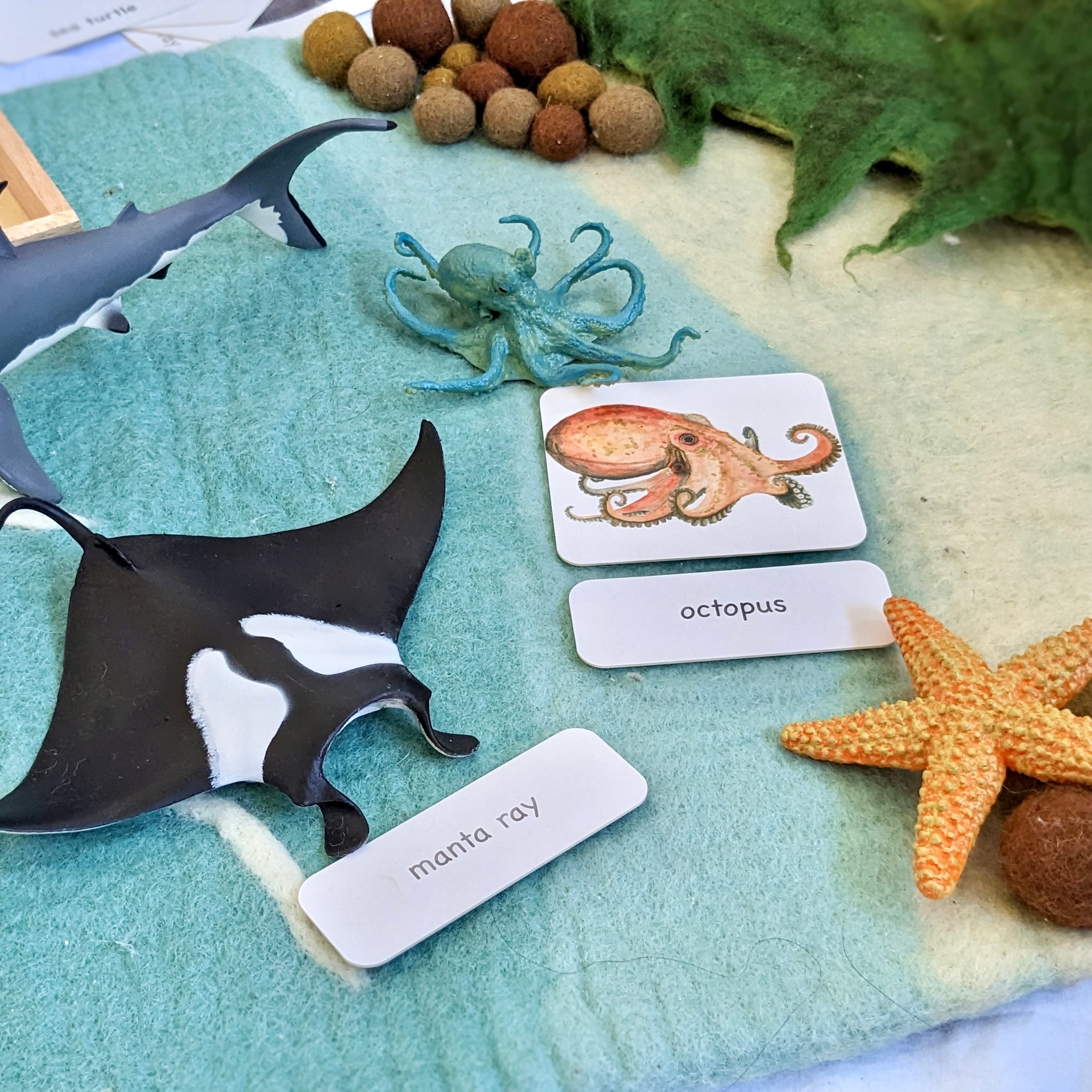 Montessori 3 Part Cards Nomenclature Ocean Sea Animals English 3yrs ...