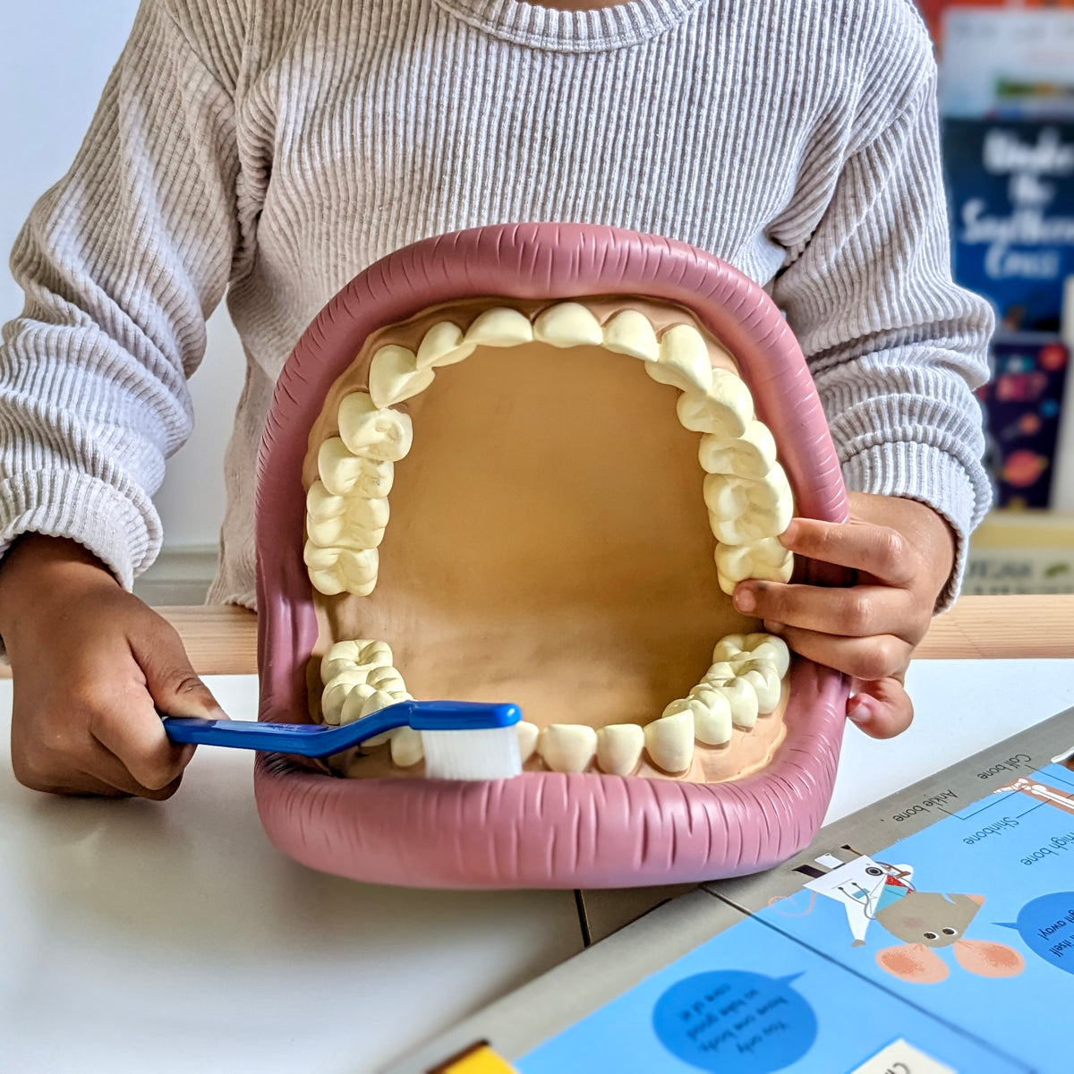 Giant Teeth Demonstration Model Early Science STEM Developmental Toys ...