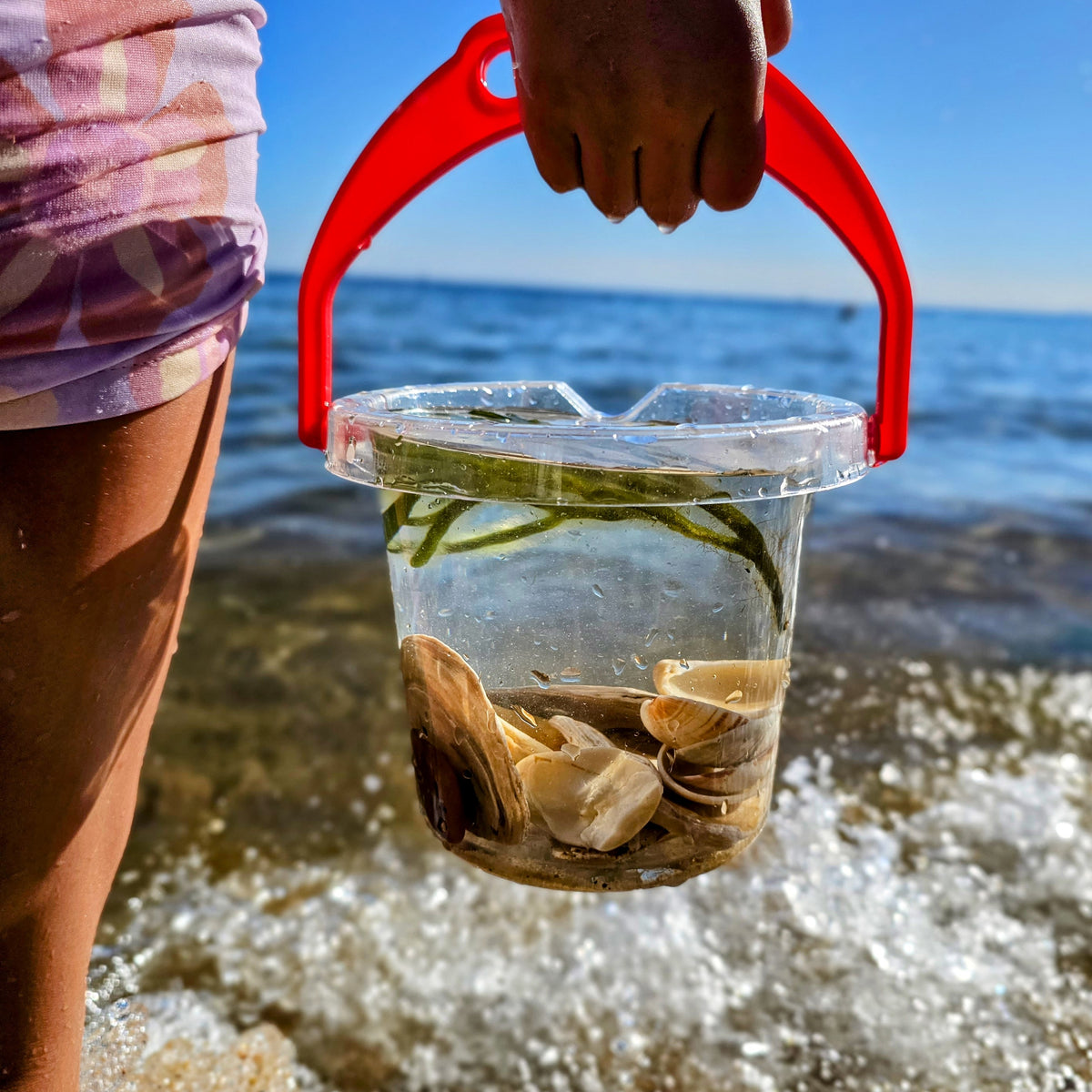 Classic Clear Kids Bucket with Lip for your next Science Sensory exper ...