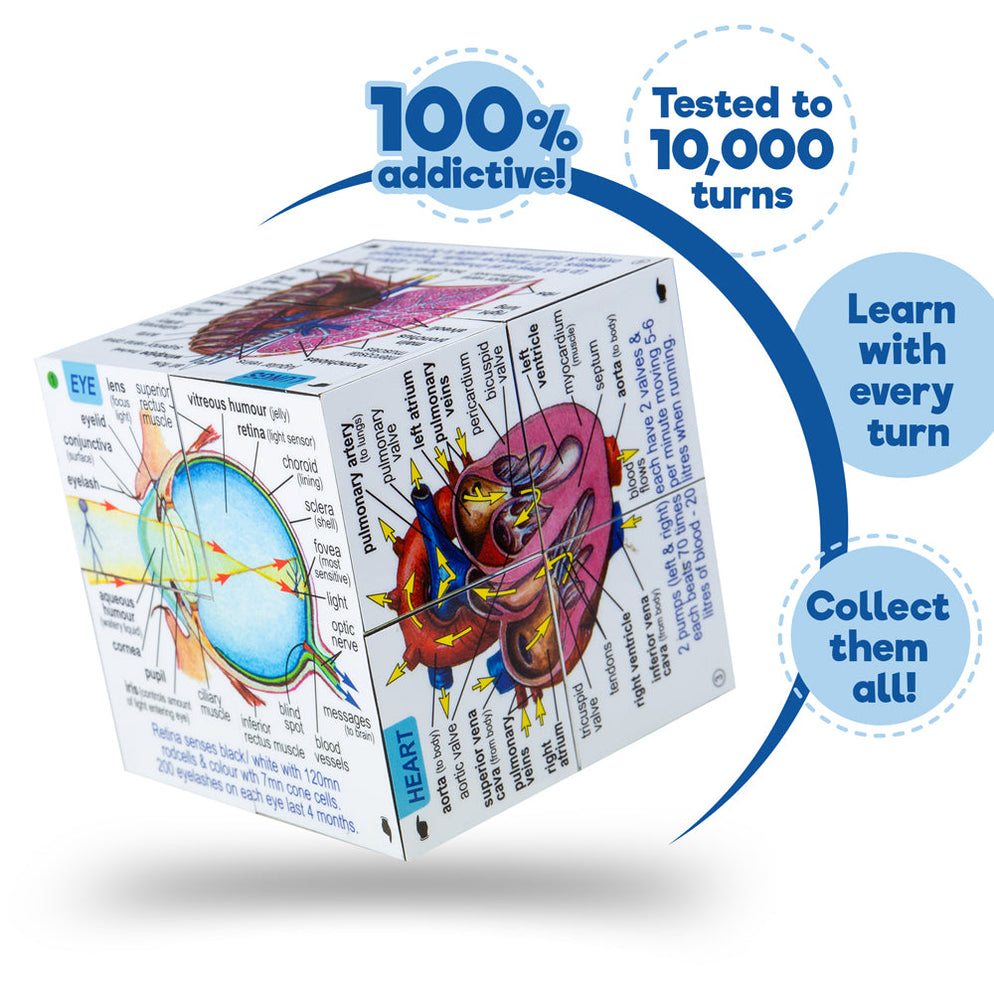 ZooBooKoo Human Body Anatomy Cube Book Early Science STEM Travel Toys ...