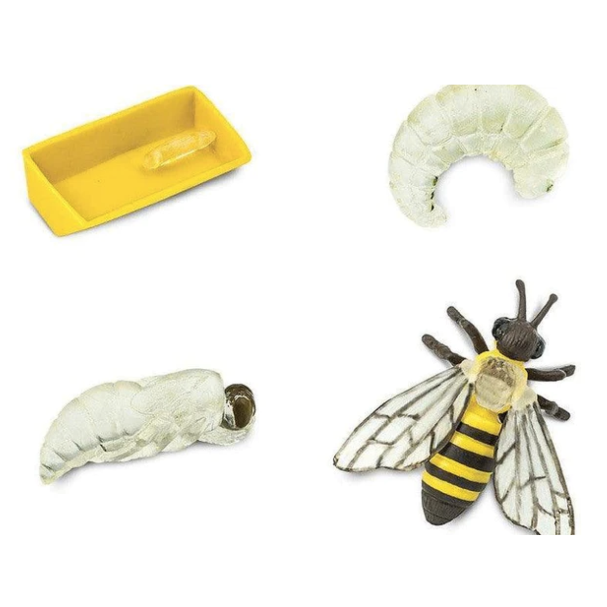 Life Cycle of a Honey Bee Montessori Language Animal Figurines Collect ...