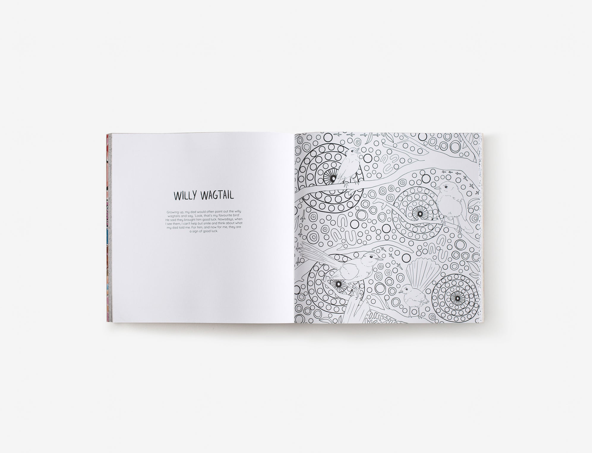 Mulganai: A First Nations Colouring Book (Paperback) Activity Book Art ...