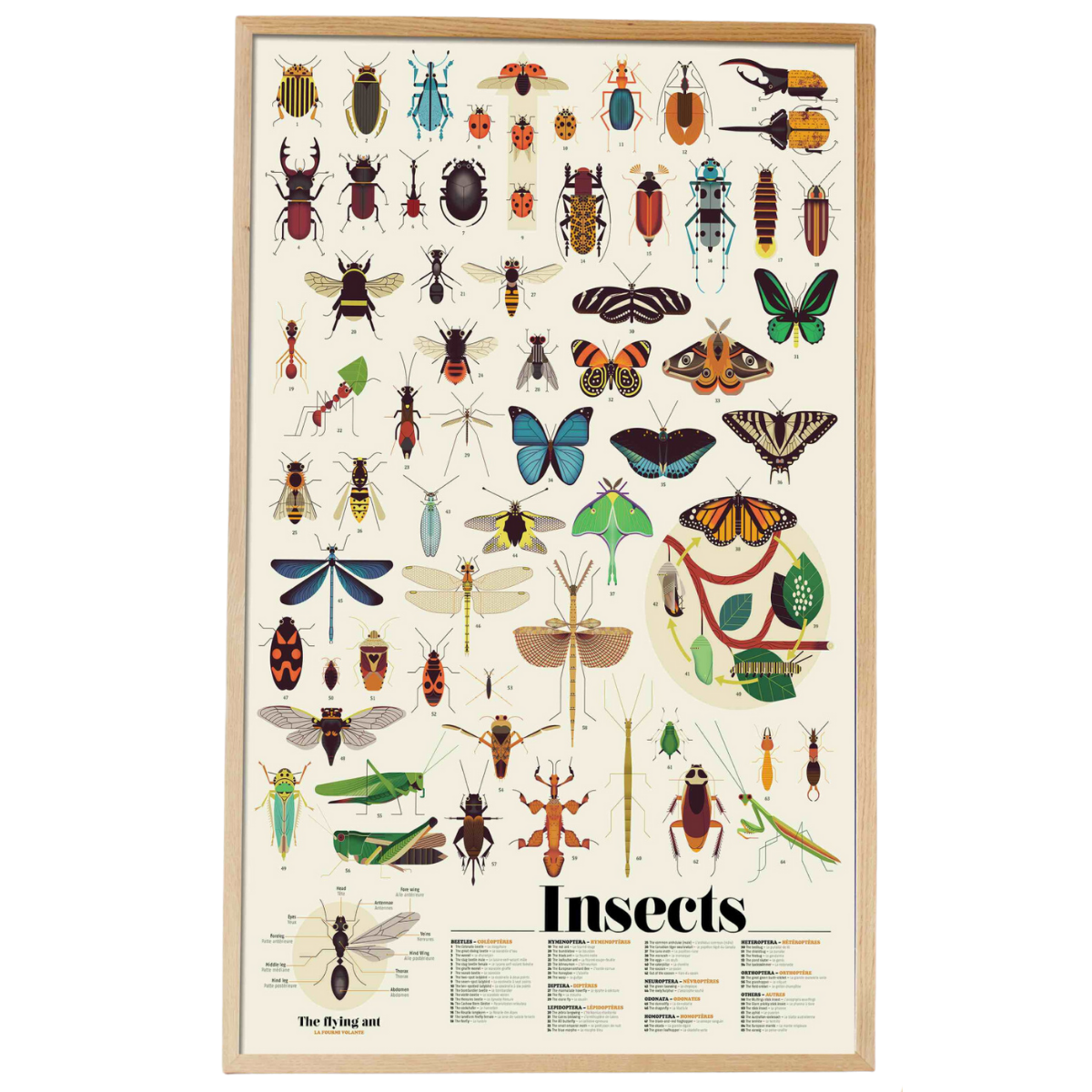 Insect Educational Poster and Stickers by Poppik Art and craft for kid ...