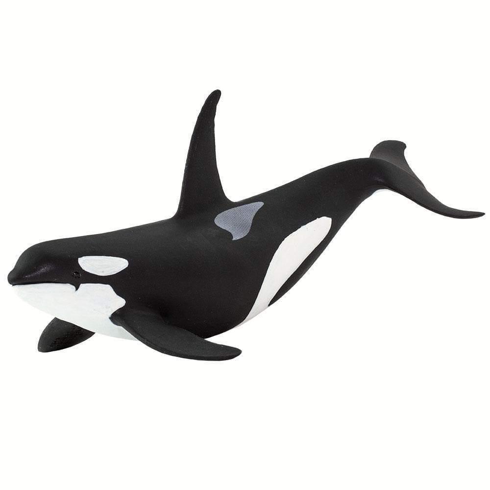 Orca Killer Whale Figurine by Safari Ltd Sea Life collection Animal Fi ...