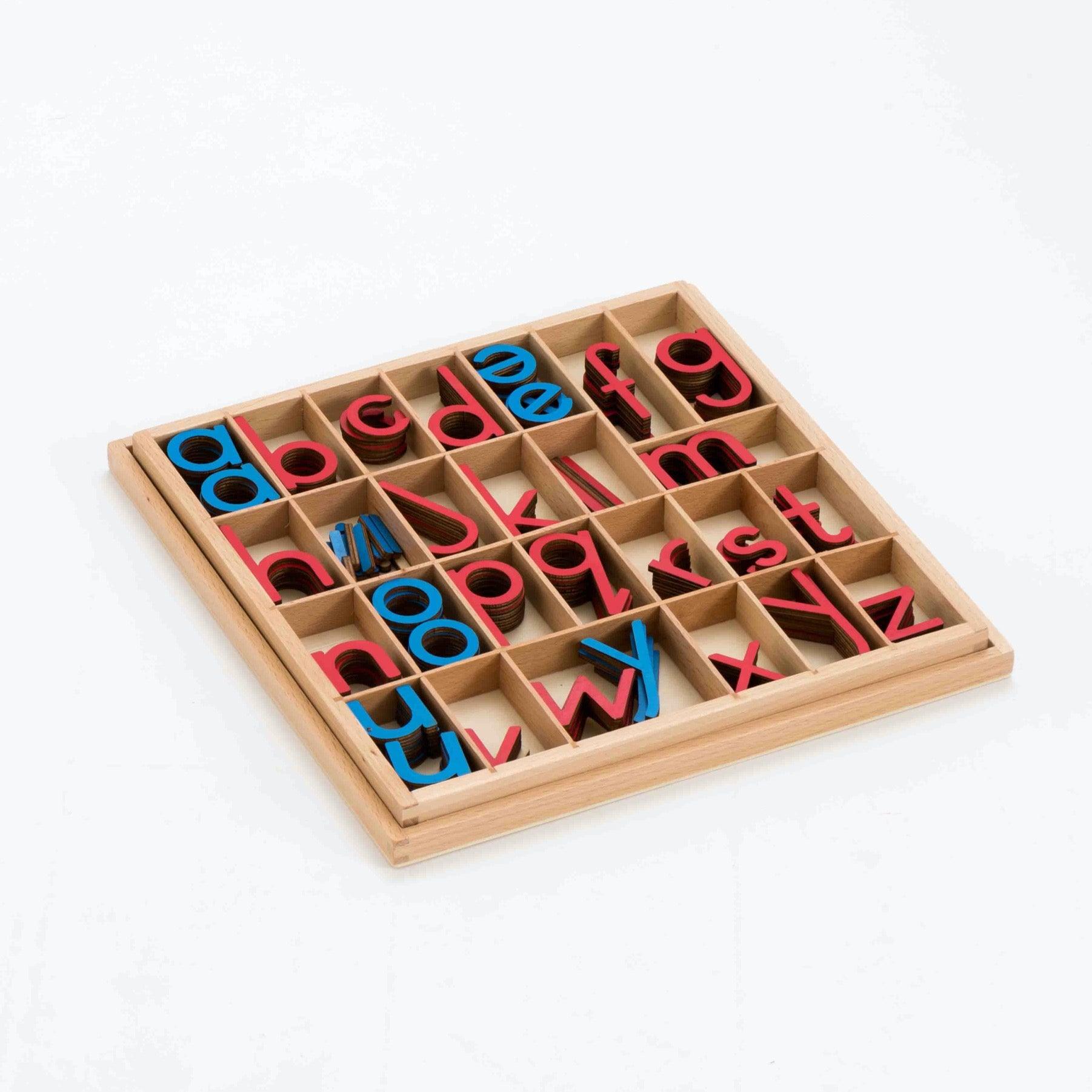 Montessori Moveable Alphabet with Matching Sorting Tray and Lid Early ...