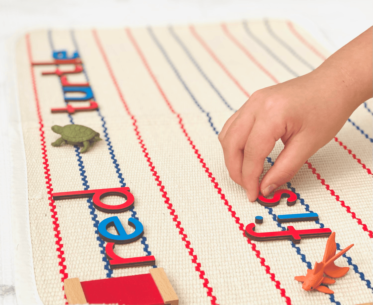 Montessori Moveable Alphabet with Matching Sorting Tray and Lid Early ...
