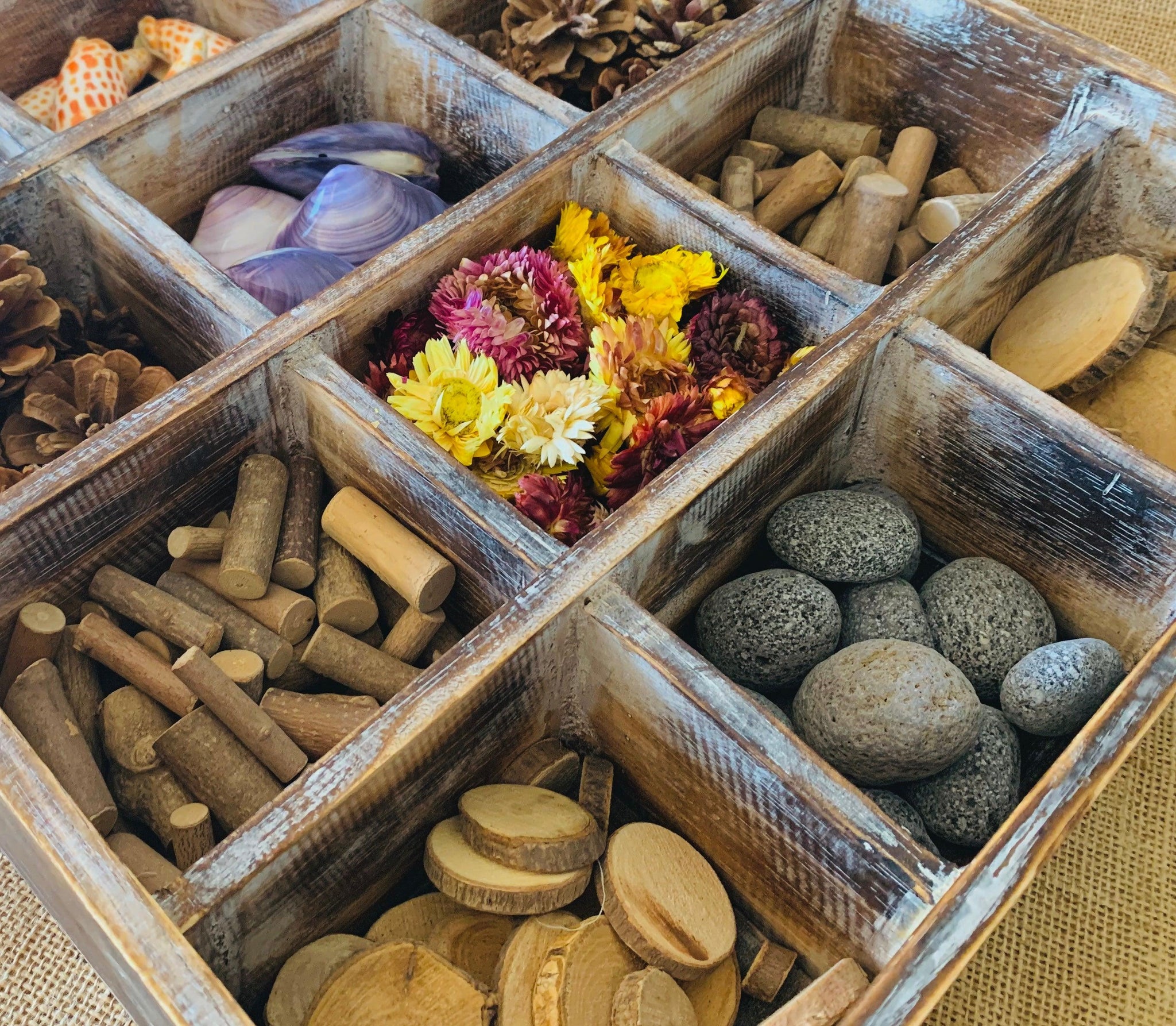 Reggio Emilia Resources - Play-Based Learning Theme — My Playroom