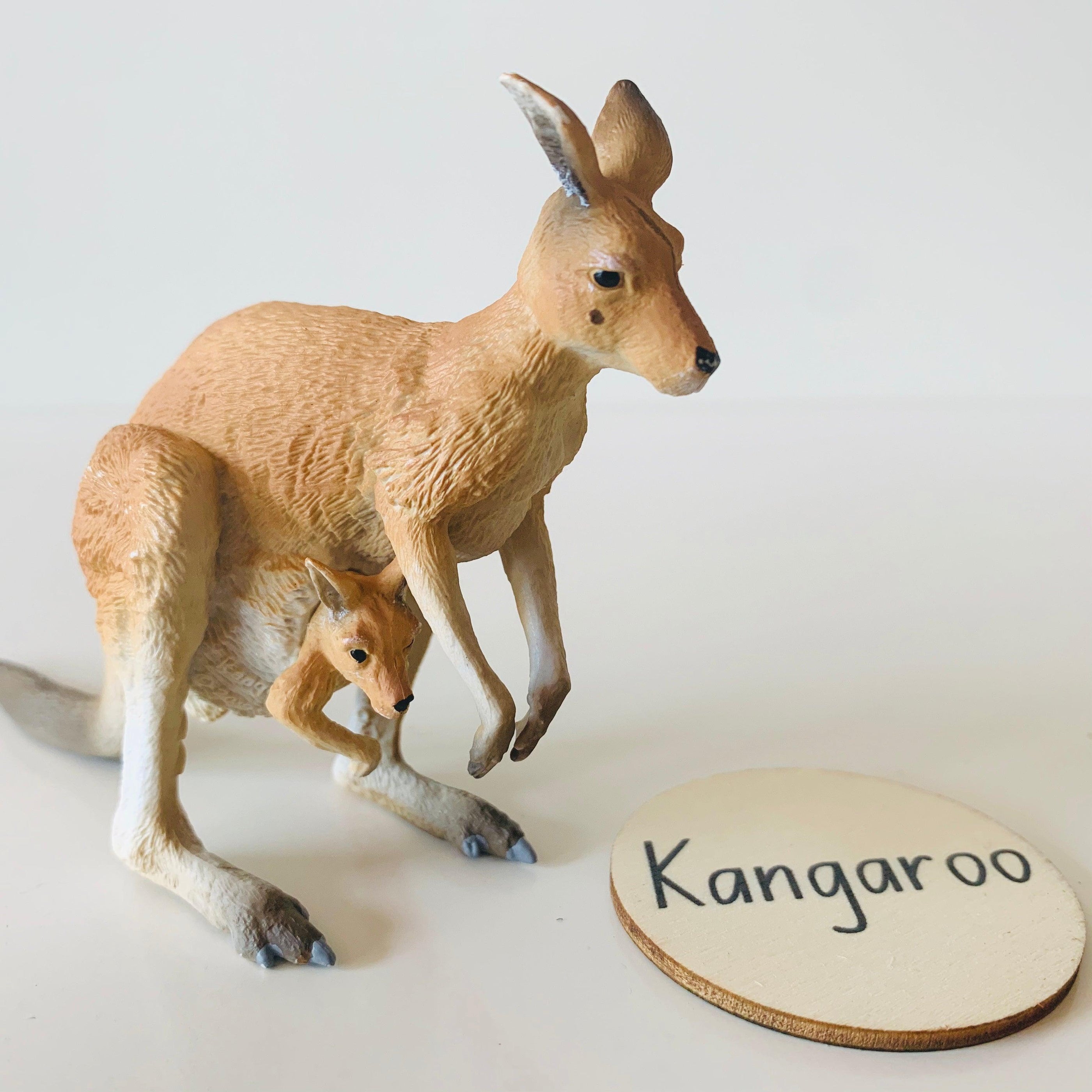 Australian Animals 7 Piece Playset by Safari Ltd Australian Animal Fig ...