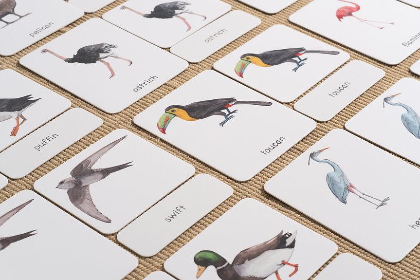 Montessori 3 Part Cards Nomenclature Birds English — My Playroom