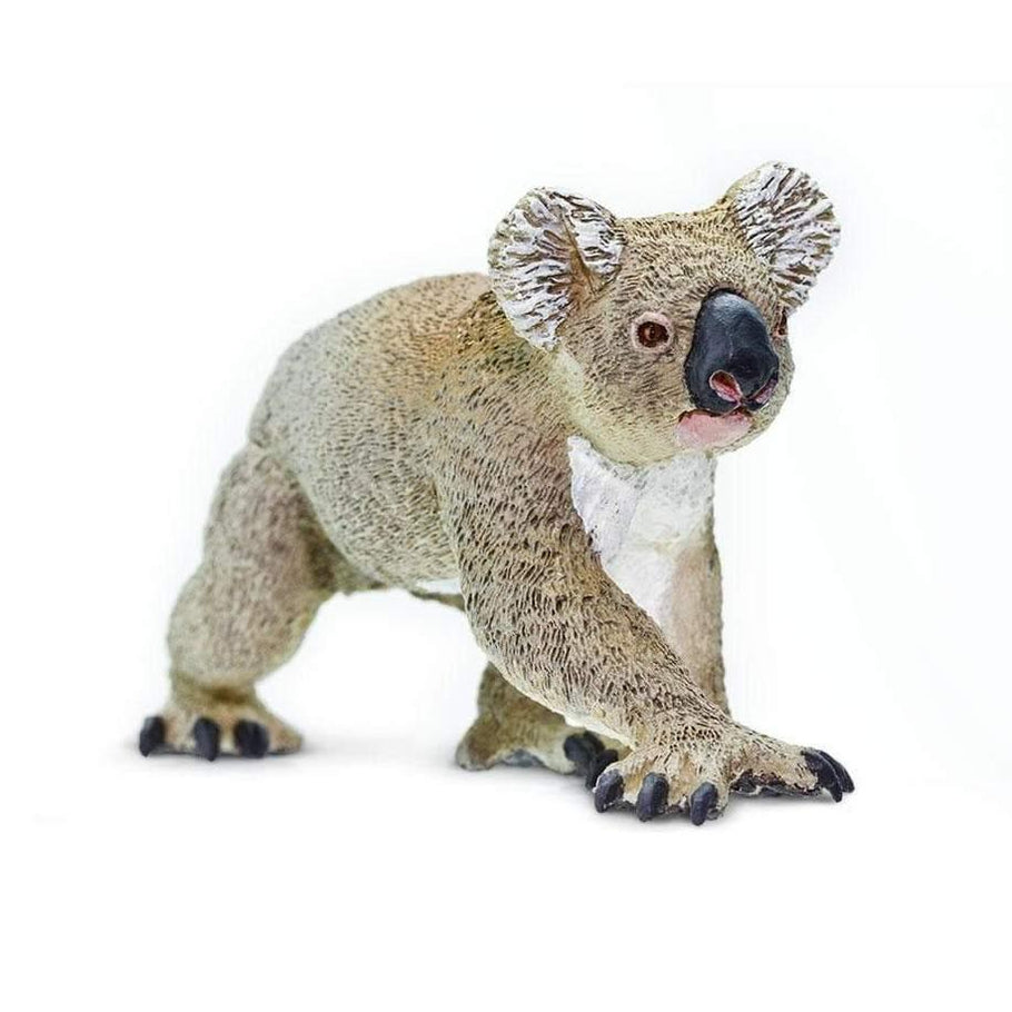Koala Australian Animals Figurine by Safari Ltd 3yrs+ — My Playroom