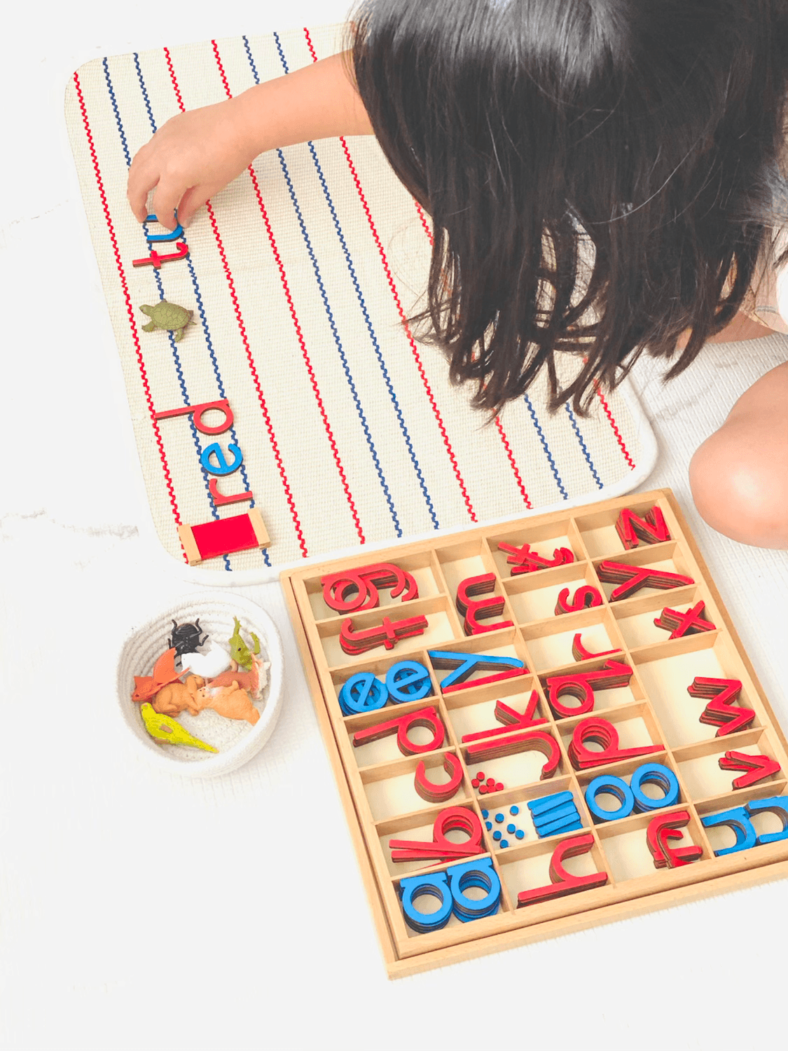 Montessori Moveable Alphabet with Matching Sorting Tray and Lid Early ...