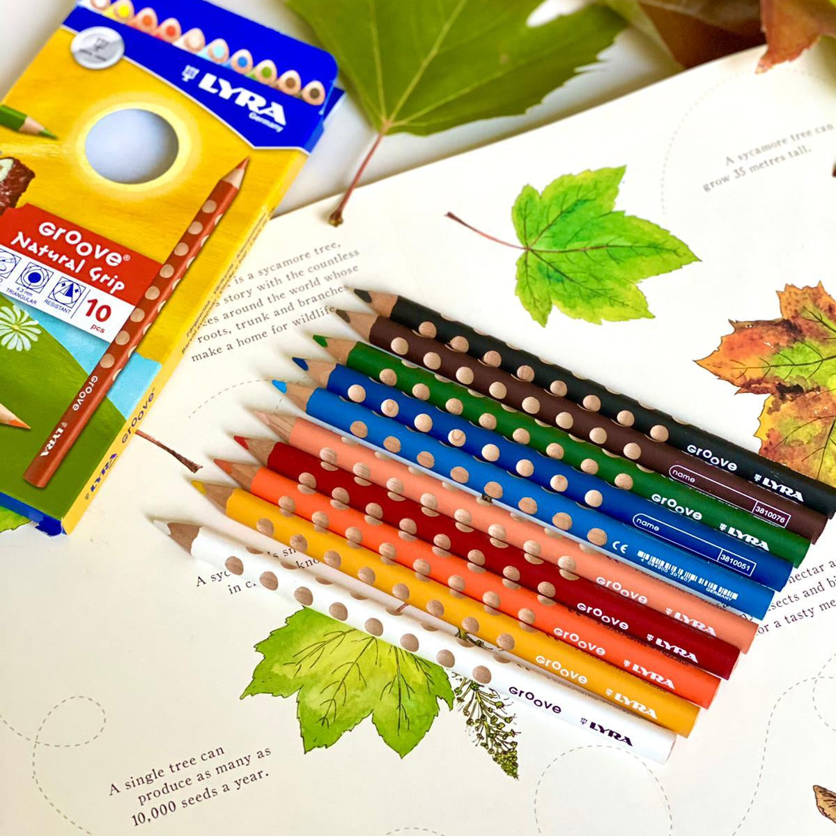Lyra Groove Coloured Pencils 10 Pencils Stationary Art and craft for k ...