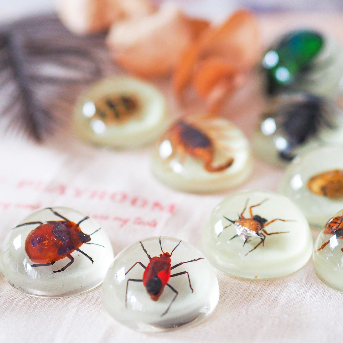 Mini Beasts 10 Insect Specimen Domes Magnetic Glow in the Dark Best Se ...