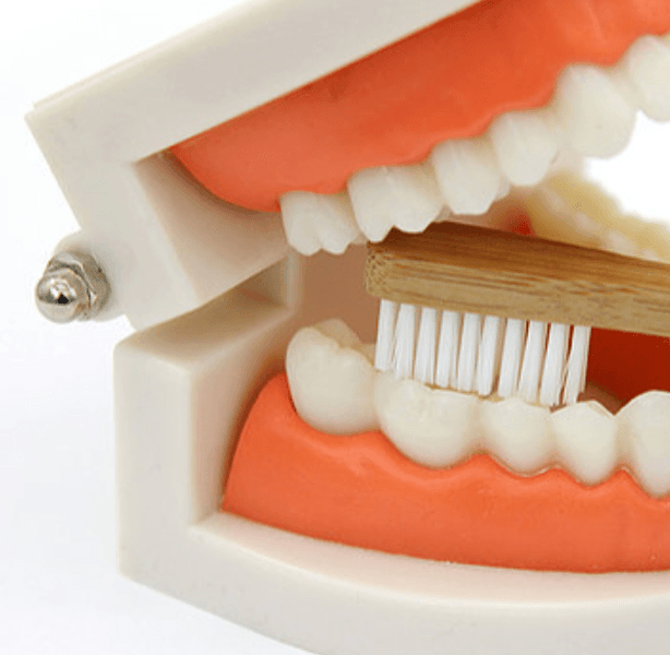 Teeth Brushing Activity Set Best Seller Practical Life Materials Devel ...