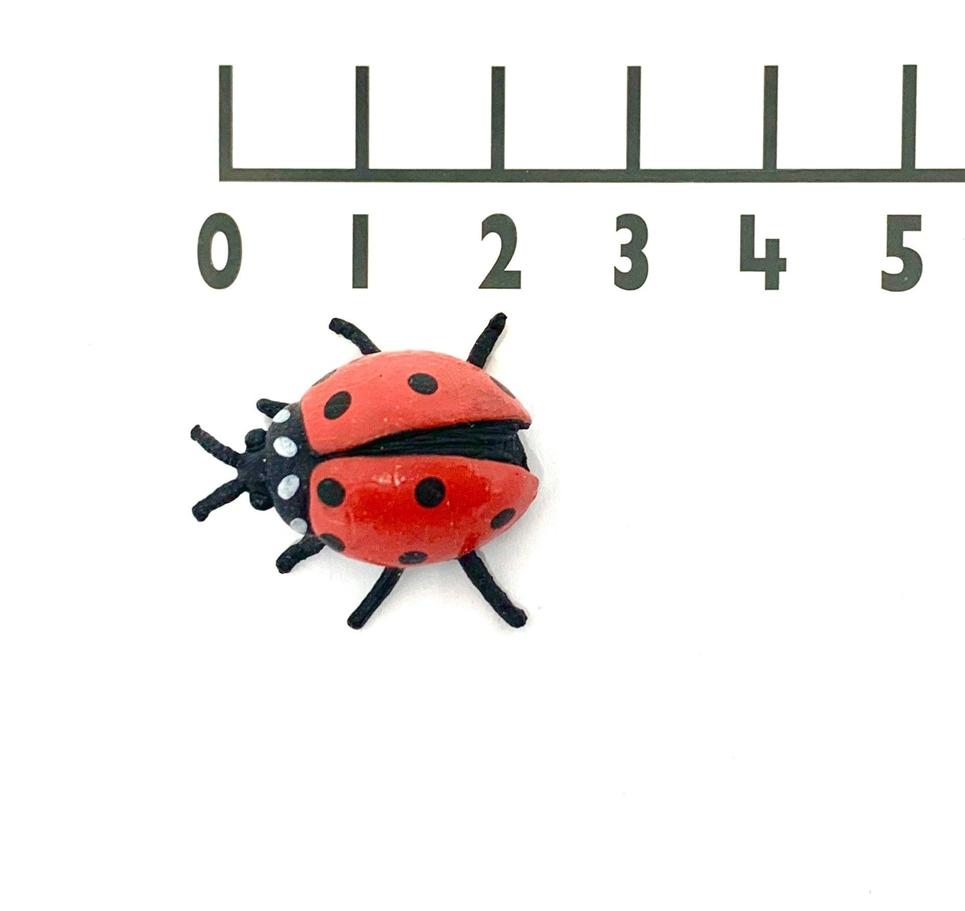 Counting Ladybugs 10 Piece by Safari Ltd Early Math Bug STEM Toys Math ...