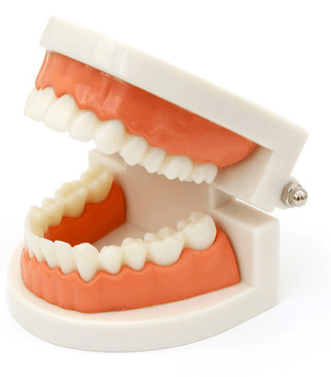 Montessori Practical Life Tools — My Playroom