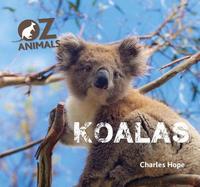 Koalas Oz Animals (Paperback) by Charles Hope Australian Animals Book ...