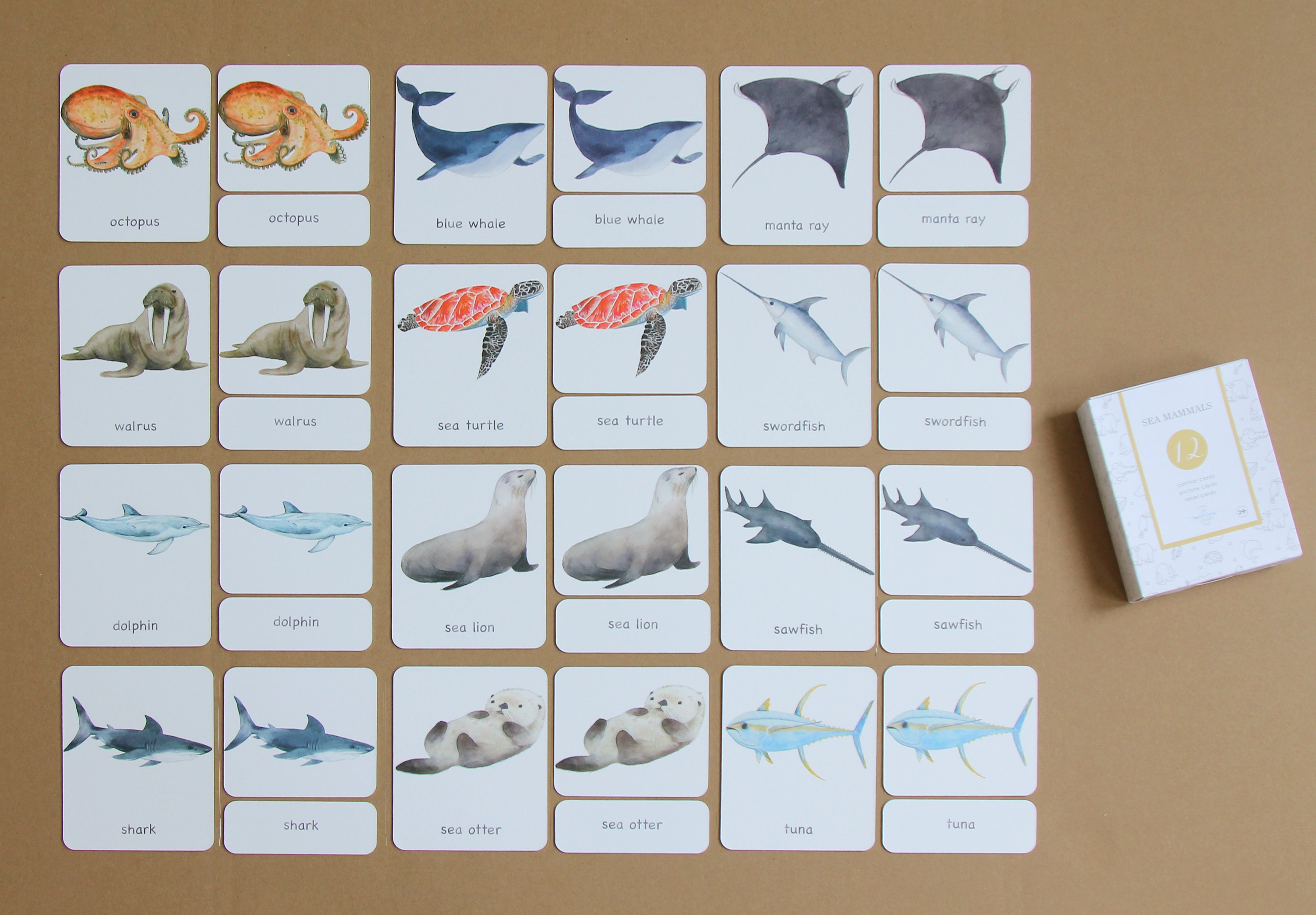 Montessori 3 Part Cards Nomenclature Ocean Sea Animals English 3yrs ...
